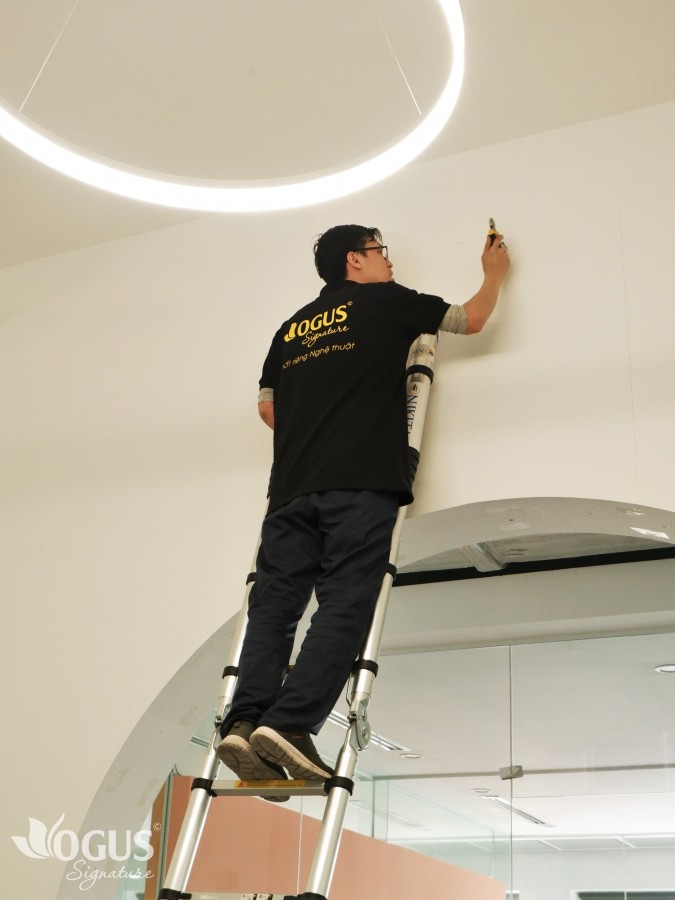 HÀNG TRĂM CON ÉN KHỔNG LỒ MANG KHÔNG KHÍ XUÂN VỀ BKHUP CO-WORKING SPACE ...